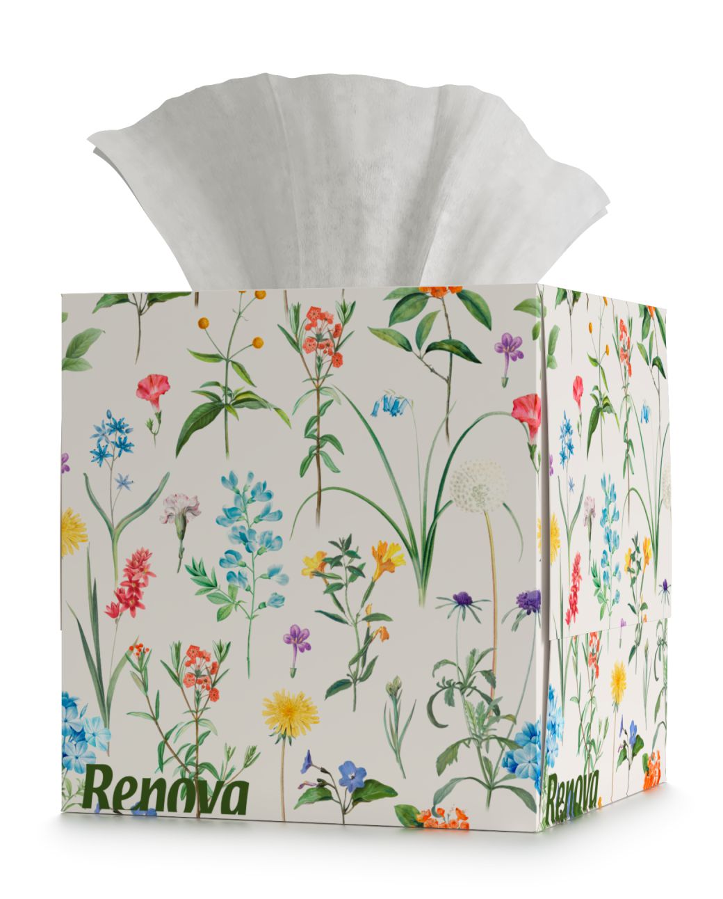 Buy Facial Tissues “Dainty Flowers” for EUR 2.48 | Renova PT