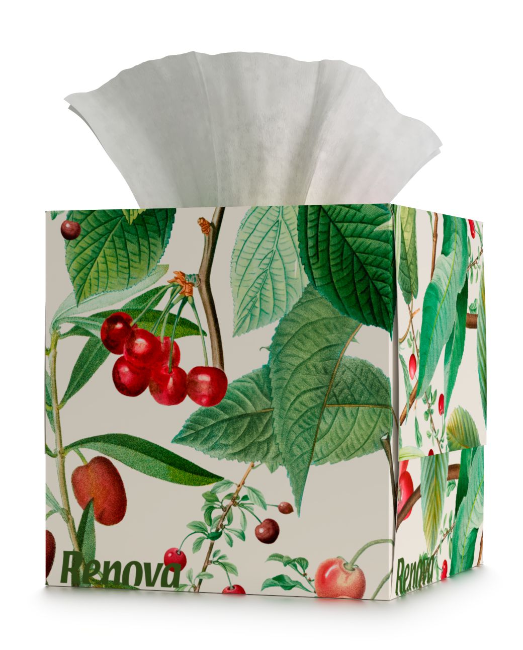 RENOVA | Facial Tissues “Seasonal Fruits” | Facial Tissues